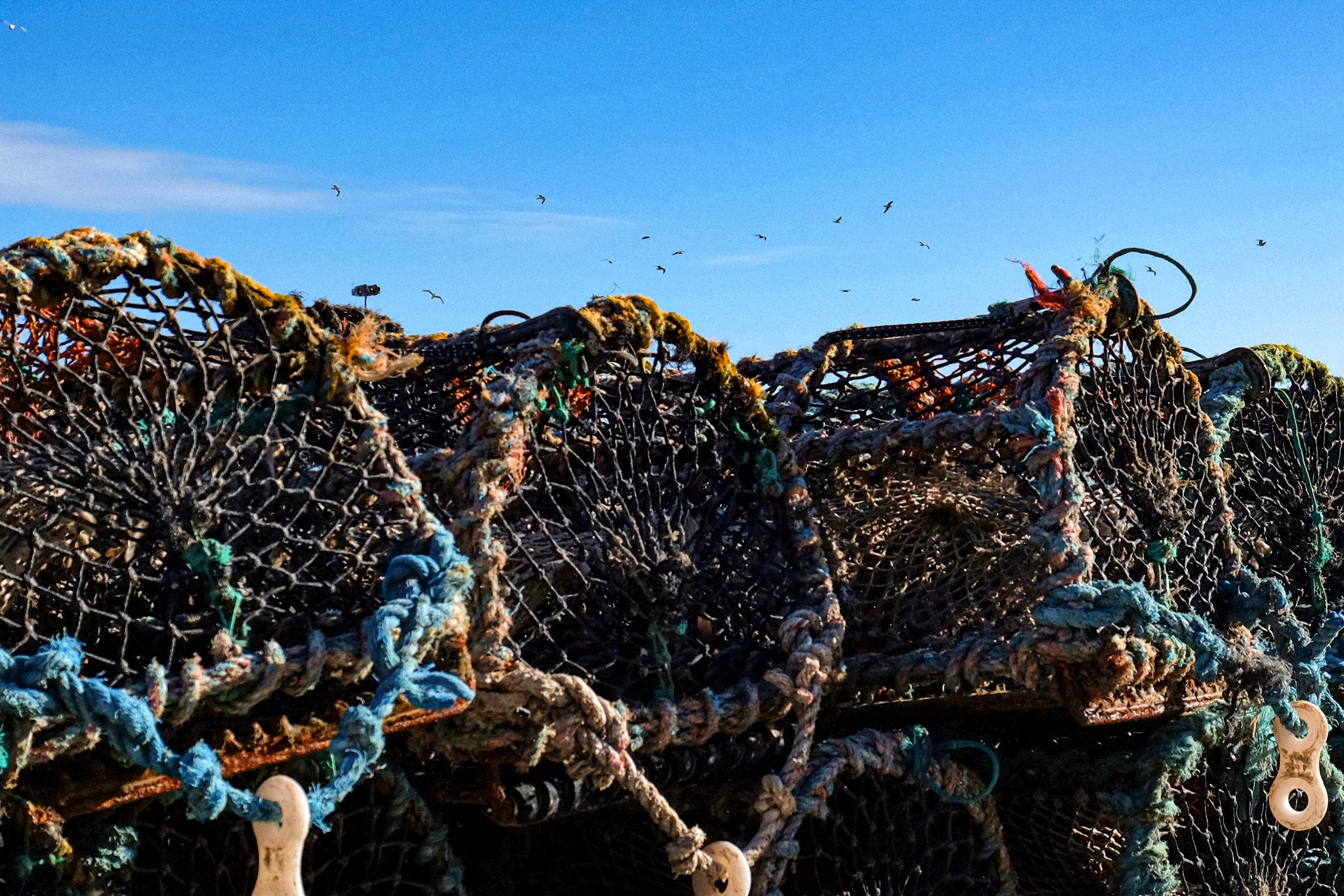 Mike Bennett Author – Author & Podcaster